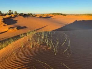 Red Coral Sand Dunes | Travel Thru History