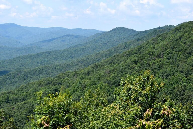 Gold Rush Legacy: Exploring America’s First Gold Rush in North Georgia ...